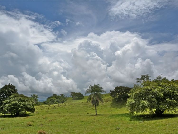 Panama-landscape